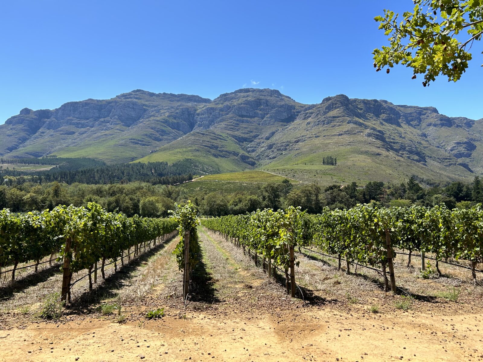 Discover the Unparalleled Beauty of South Africa - clinetravelco.com